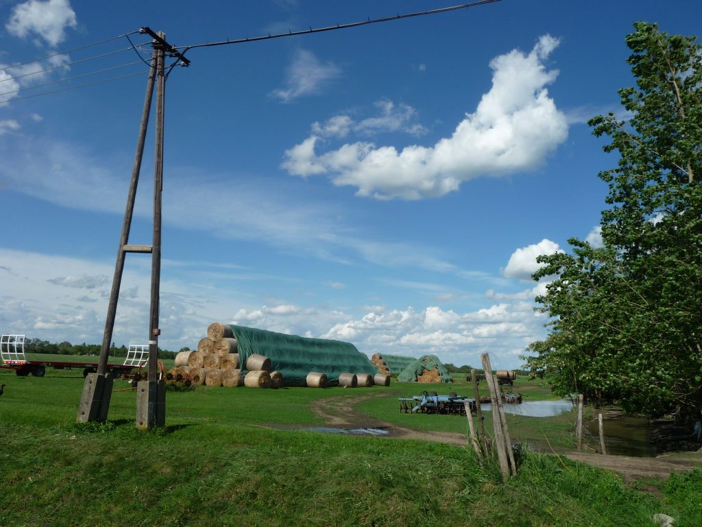 Székkutas – bei Piroschka zu Besuch in Hódmezővásárhely-Kutasipuszta